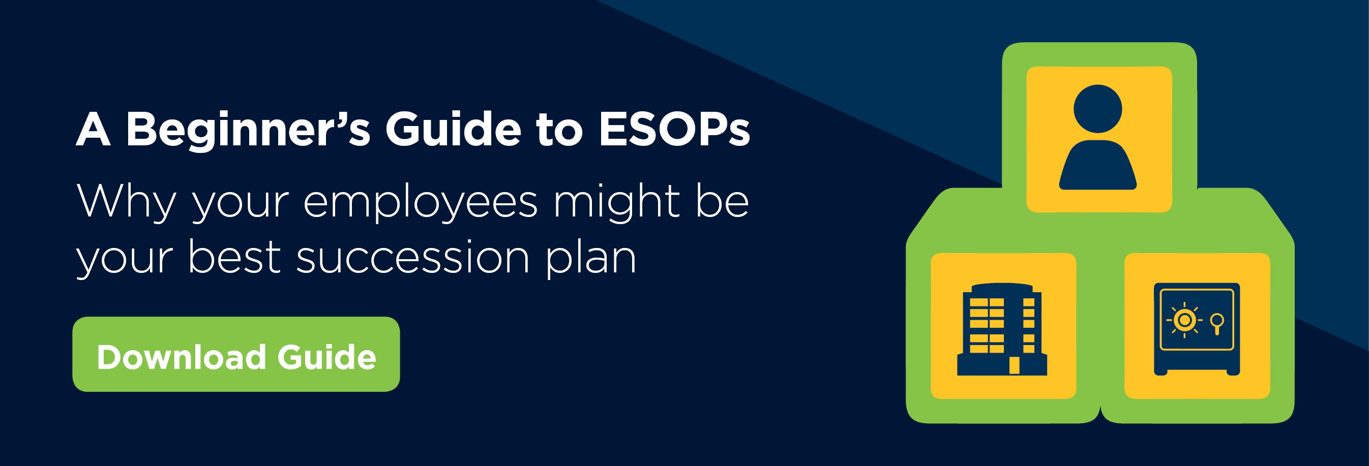 A Beginner’s Guide to ESOPs: Why Your Employees Might Be Your Best ...